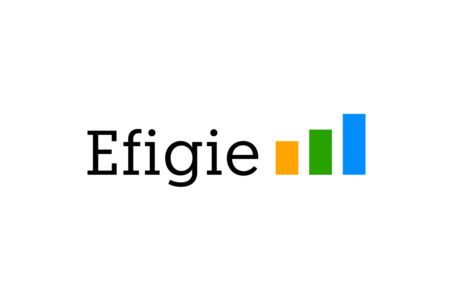 Efigie - Gestion financière